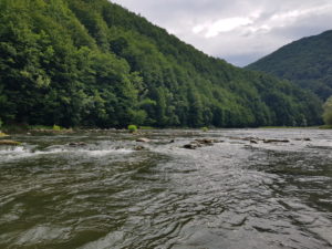 OS Dunajec Górny » Fly Fishing in Poland