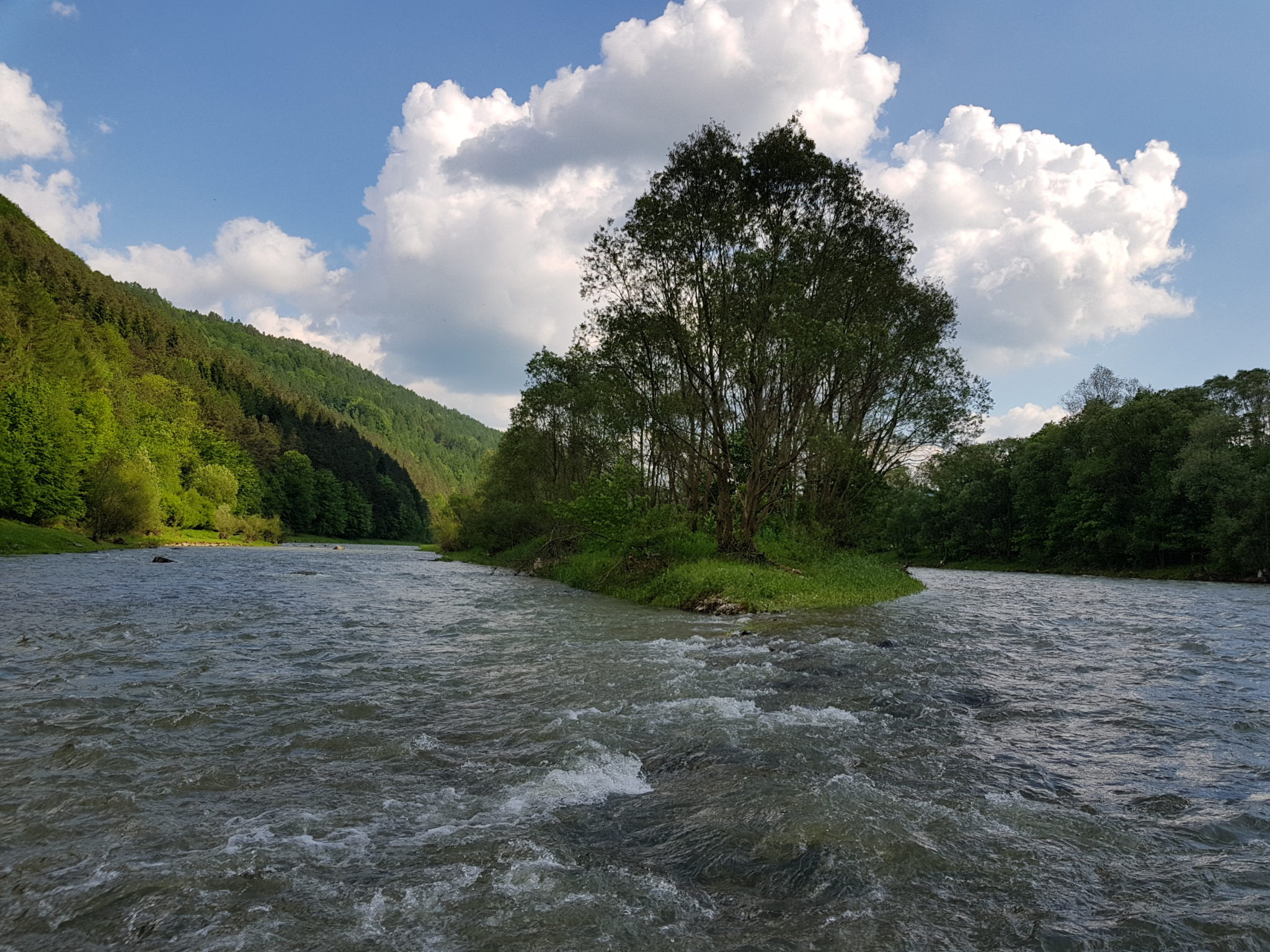 OS Dunajec Górny » Fly Fishing in Poland